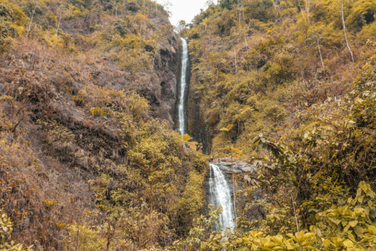 Guía Completa para Visitar La Reserva Ecológica Arenillas - Viajar En ...