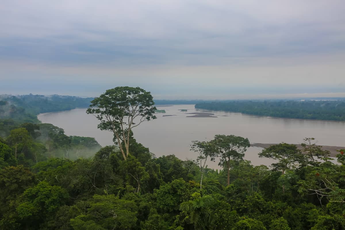 Amazonia - Viajar En Ecuador