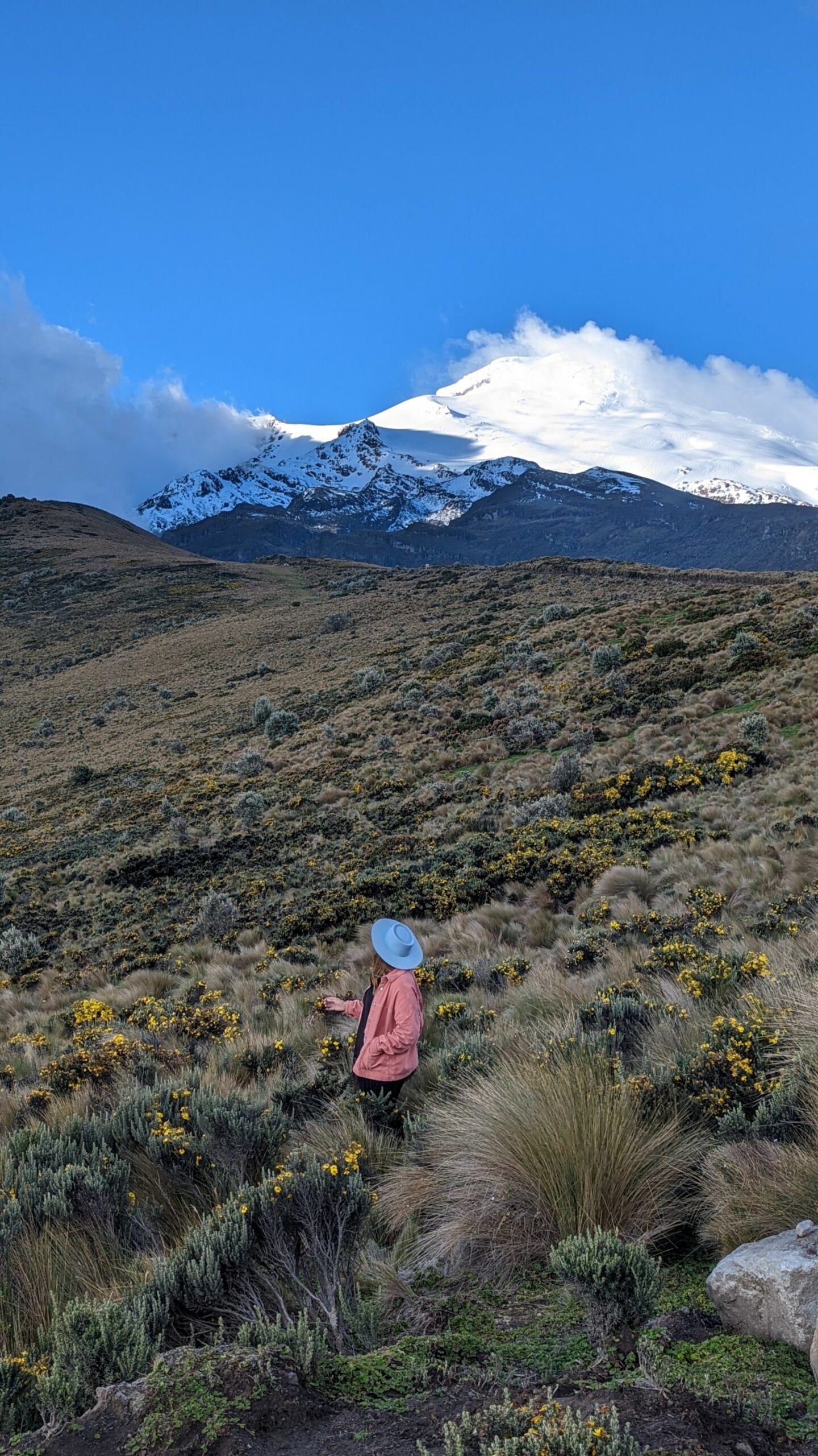 Refugio Volcán Cayambe, Parque Nacional Cayambe - Coca - Viajar En Ecuador